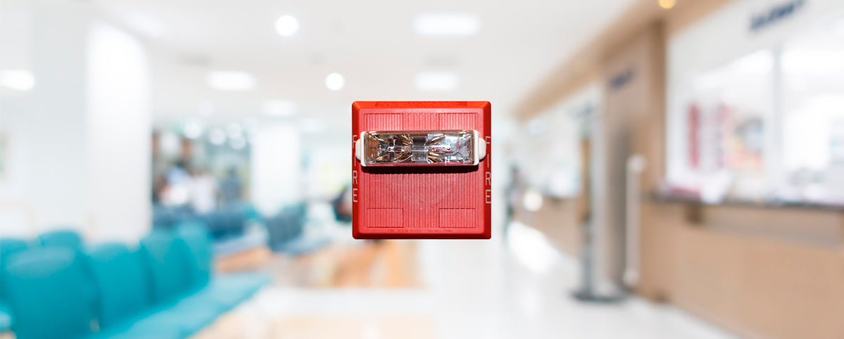 Wheelock — Next Security Corp