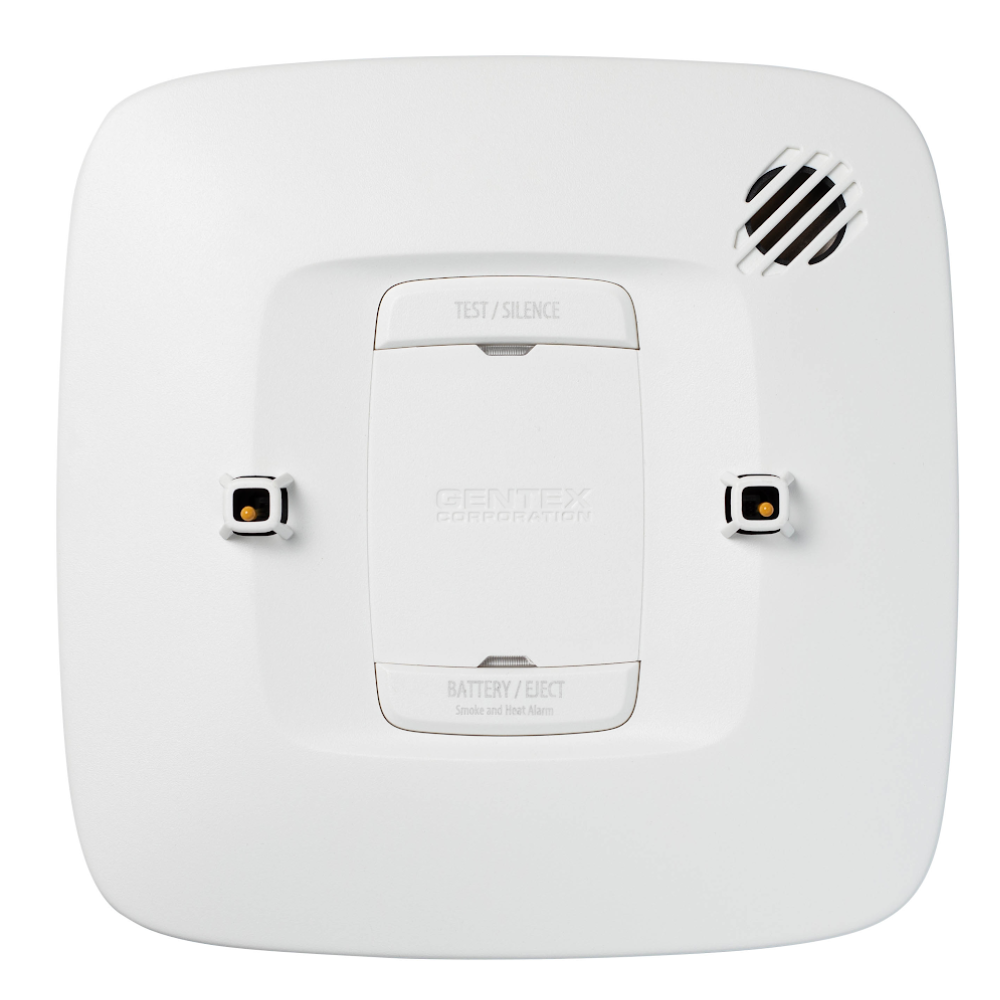 H GENTEX — Next Security Corp